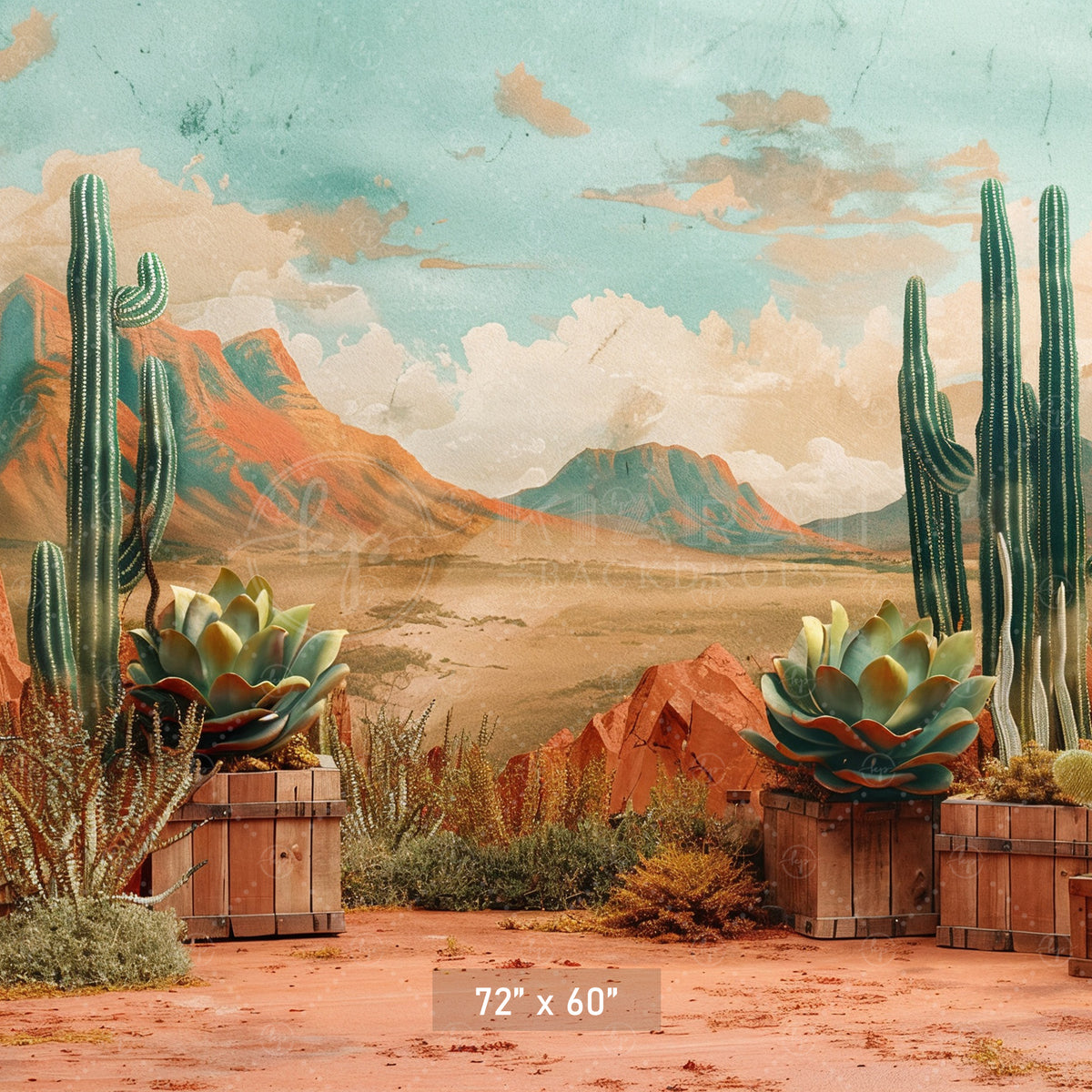 Desert Cactus Landscape Backdrop – Kiarah Backdrops